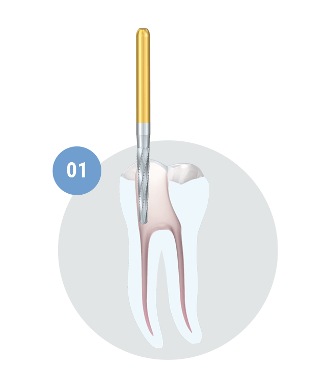 Endodontics › Komet Dental