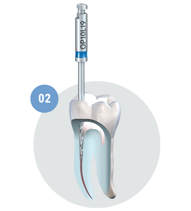 Endodontics › Komet Dental