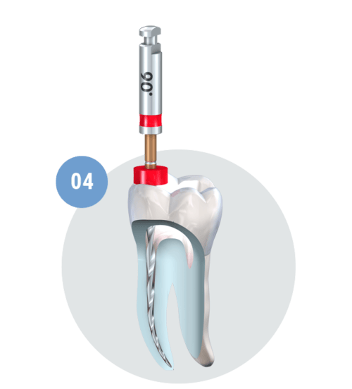 Endodontics › Komet Dental
