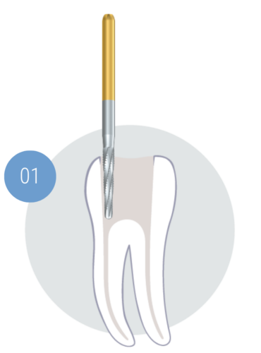 Endodontics › Komet Dental
